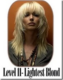 Level System : Helps You Choose Hair Color Formula | Killerstrands Hair ...